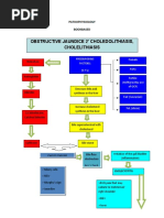 Calculating Pack Years for COPD Patients | PDF | Cigar | Cigarette