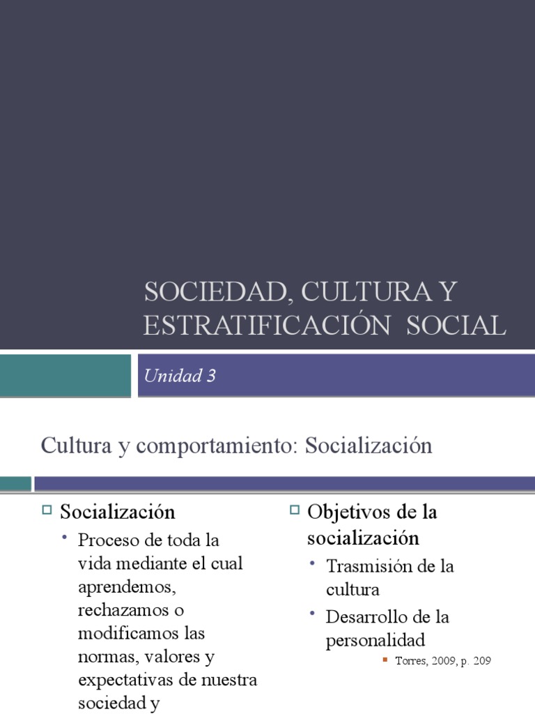 Sociedad Cultura y Estructura Social | PDF | Estratificación social | Desigualdad social