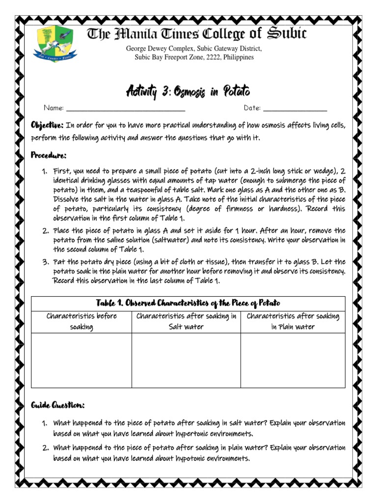 Activity 3 - Osmosis in Potato | PDF