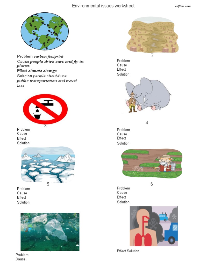 Environmental Issues Cause and Effect Worksheet | PDF