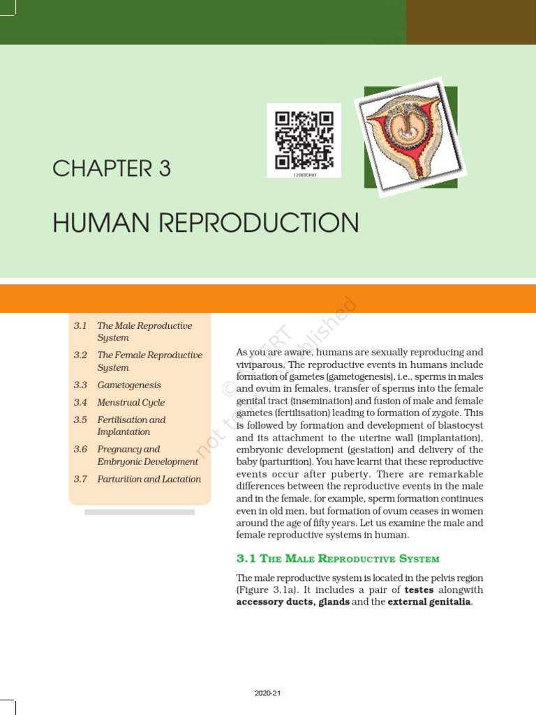 Biology Human Reproduction PDF | PDF | Menstrual Cycle | Ovary
