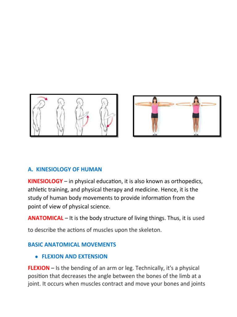 A. Kinesiology of Human | Download Free PDF | Anatomical Terms Of ...