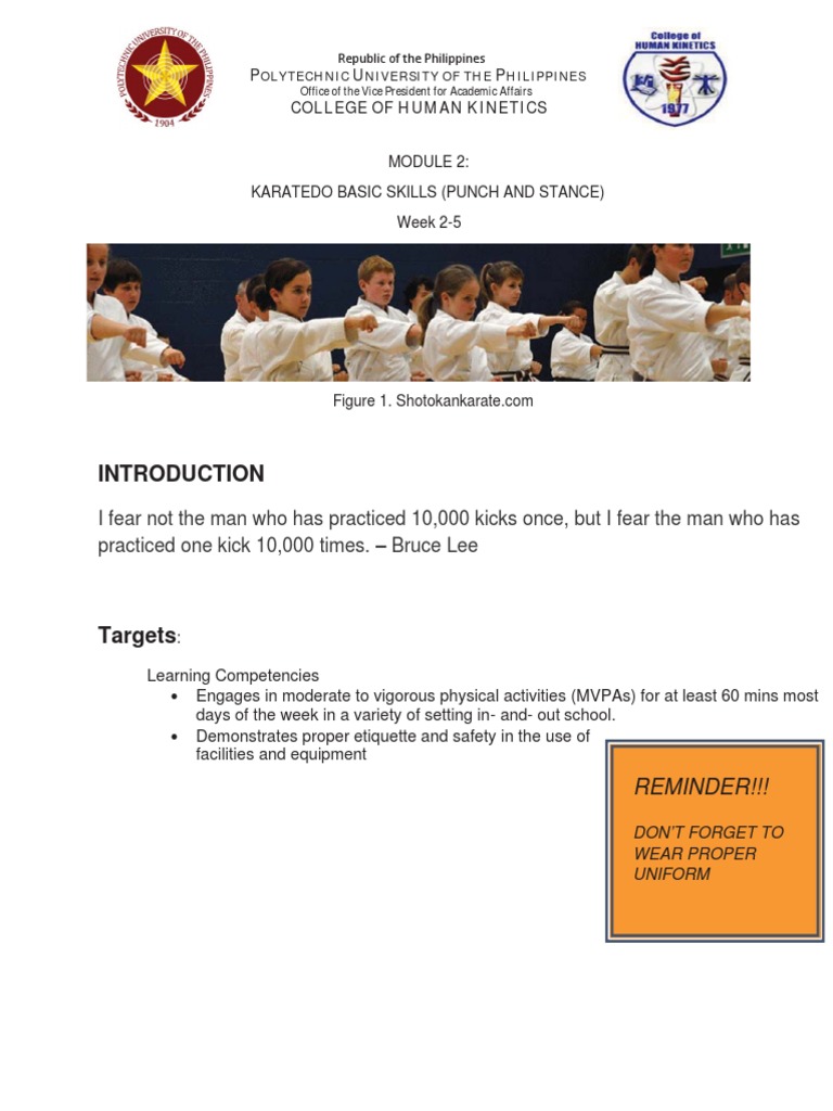 Developing Effective Karate Skills Through Practice of Basic Punches and Stances | PDF | Karate ...
