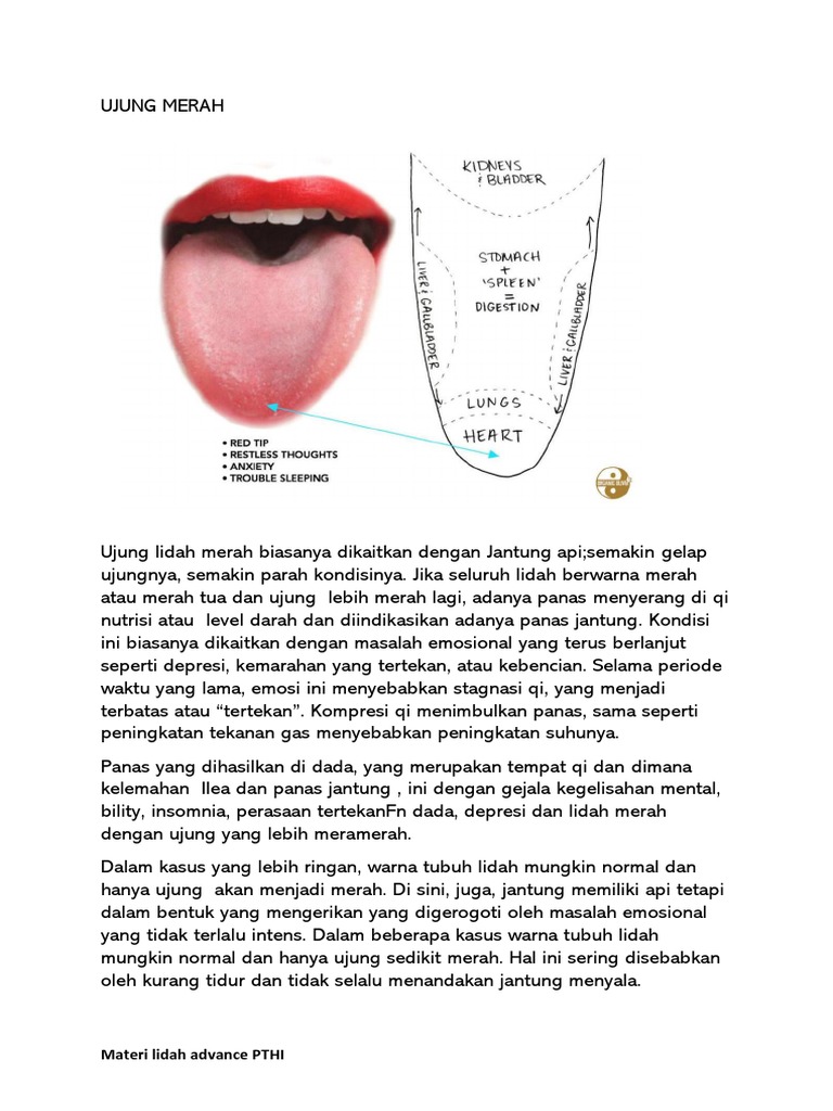 Diagnosa Lidah: Ujung Merah dan Emosi | PDF