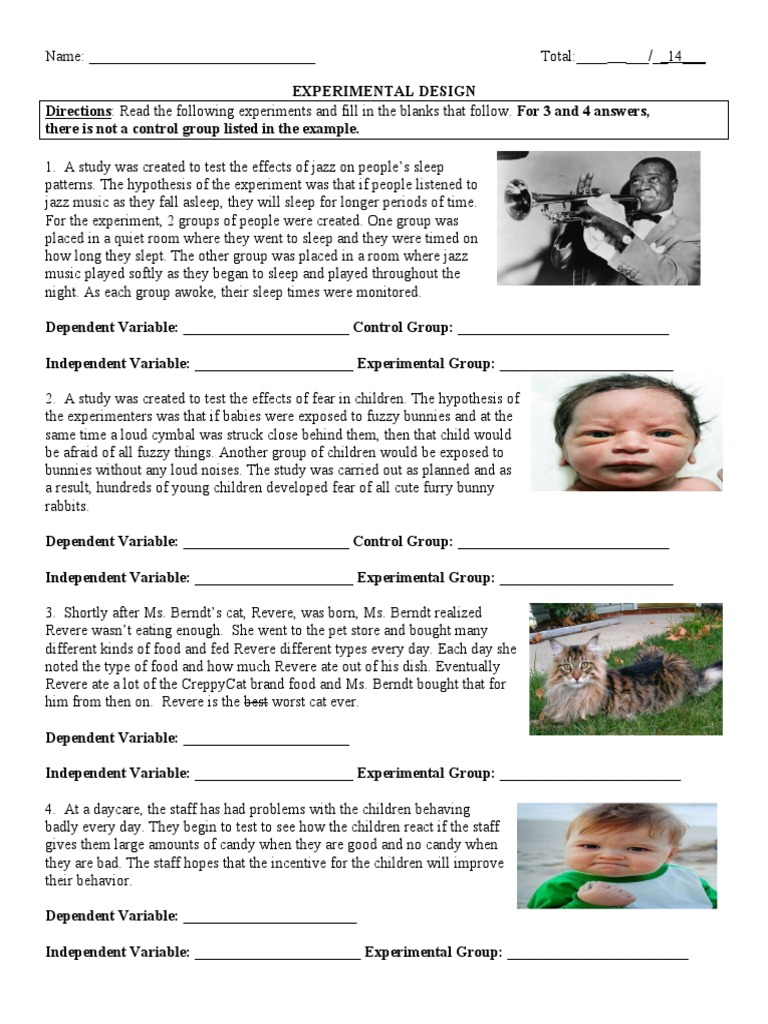 Experimental Design Practice Worksheet | PDF | Rabbit | Experiment