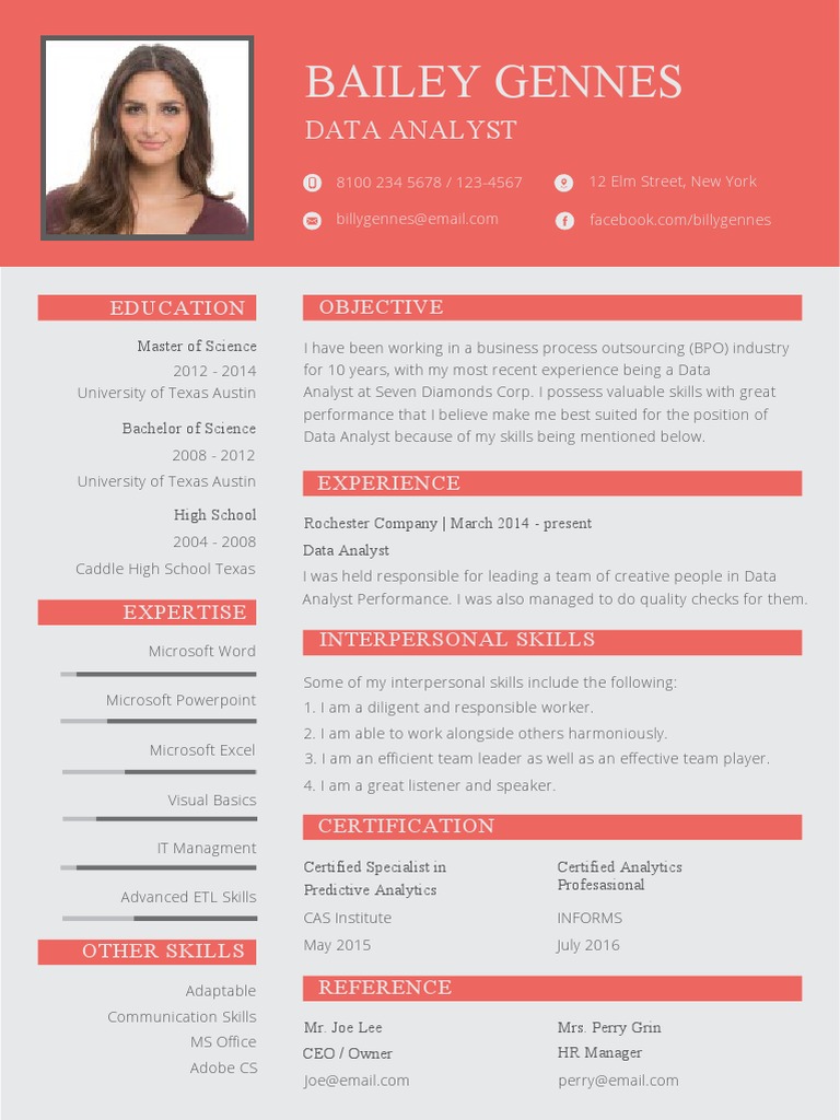 CV 1 | PDF | Information Technology | Computing