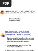 Tnemec-Endura Shield Ii | PDF | Personal Protective Equipment ...