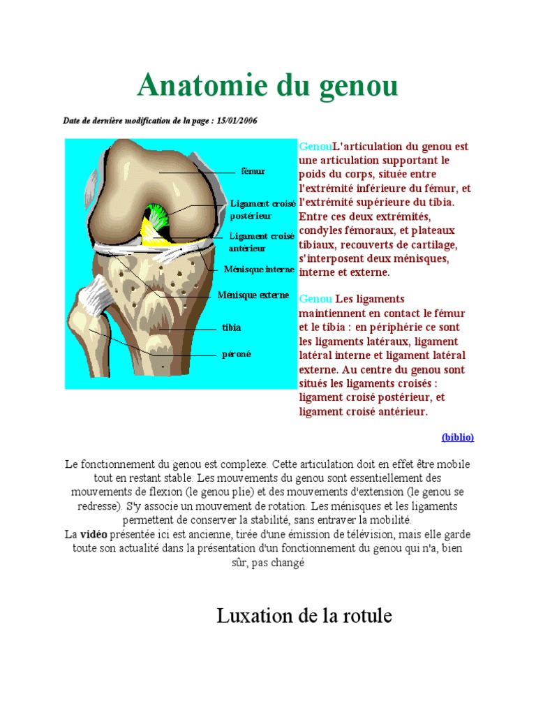 Anatomie du genou et luxation de rotule | PDF | Genou | Articulation ...