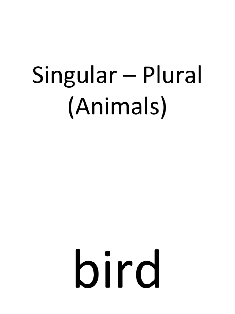 Flash Cards - Singular - Plural (Animals) | PDF