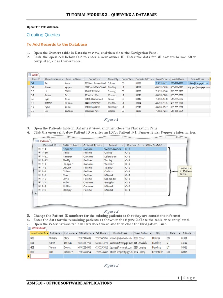 Tutorial Module 2 | PDF | Dialog Box | Databases