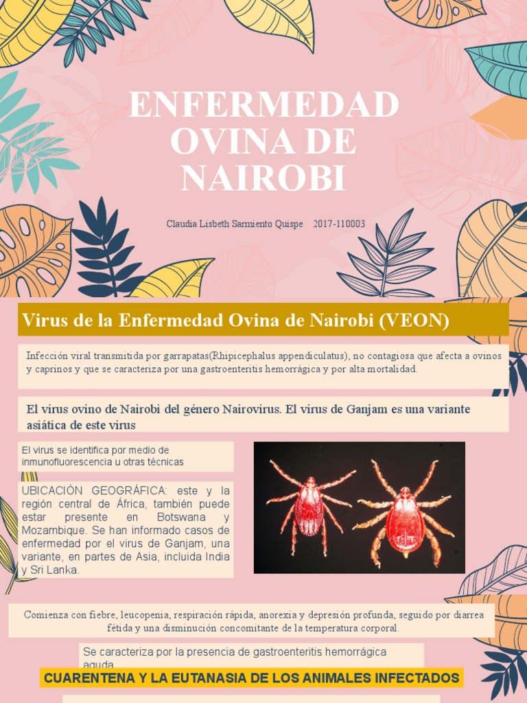 Enfermedad Ovina De Nairobi Gastroenteritis Viral Pdf Virus Oveja