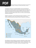 Tipos de Aduanas en México | PDF | aduana | México