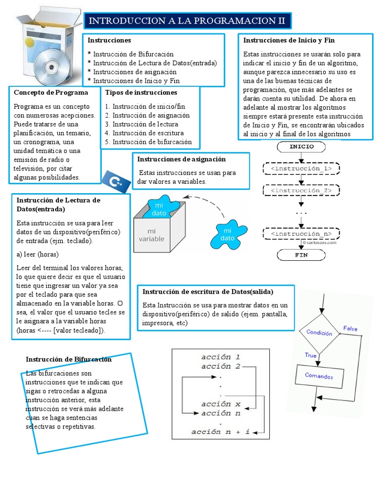 Infografia Introduccion A La Programacion II | PDF | Tipo de datos | Cadena (informática)