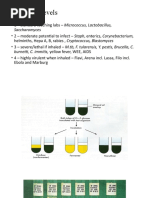 Manual WBC Count Procedure Guide | PDF | White Blood Cell | Blood
