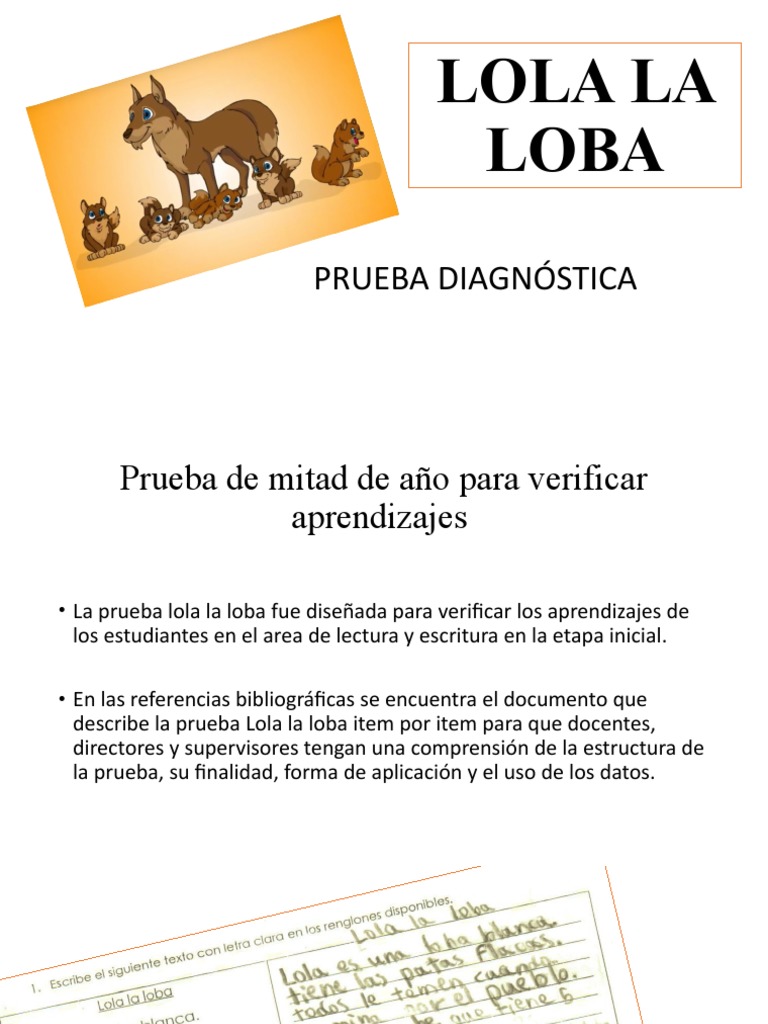 Presentación 6 - Evaluación de Proceso Lola La Loba | PDF