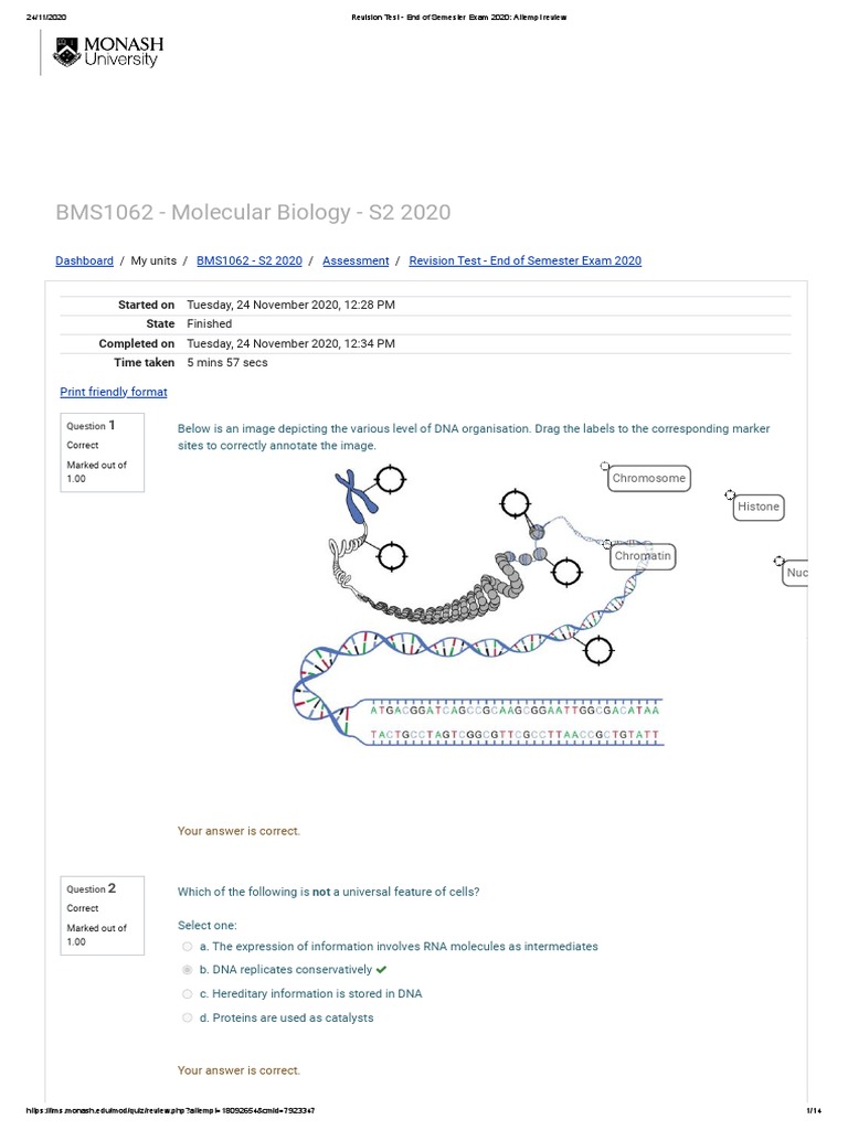 Revision Test End of Semester Exam 2020 - Attempt Review PDF | PDF ...
