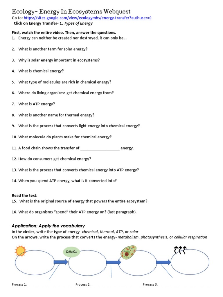 Energy in Ecosystems Webquest | PDF | Food Web | Ecosystem