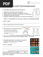 ANSWER KEY Enzyme Worksheet | PDF | Enzyme | Active Site