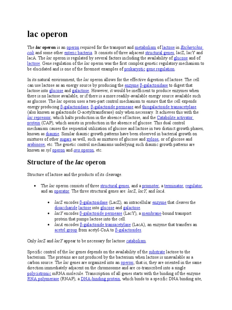 Structure of The Lac Operon | PDF | Operon | Repressor