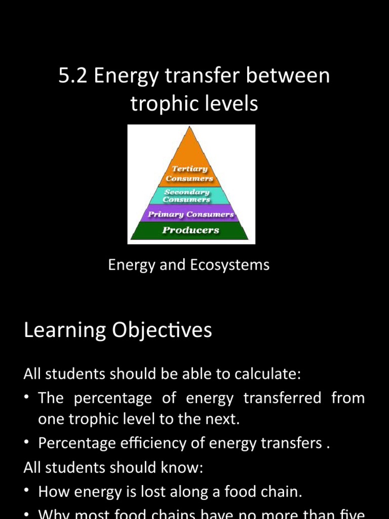 Energy Transfer Efficiency in Trophic Levels | PDF | Photosynthesis ...