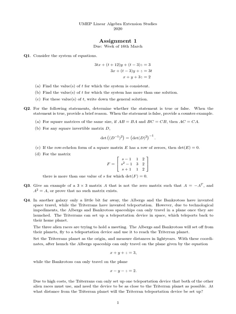 Assignment 1 | PDF | Matrix (Mathematics) | Functions And Mappings