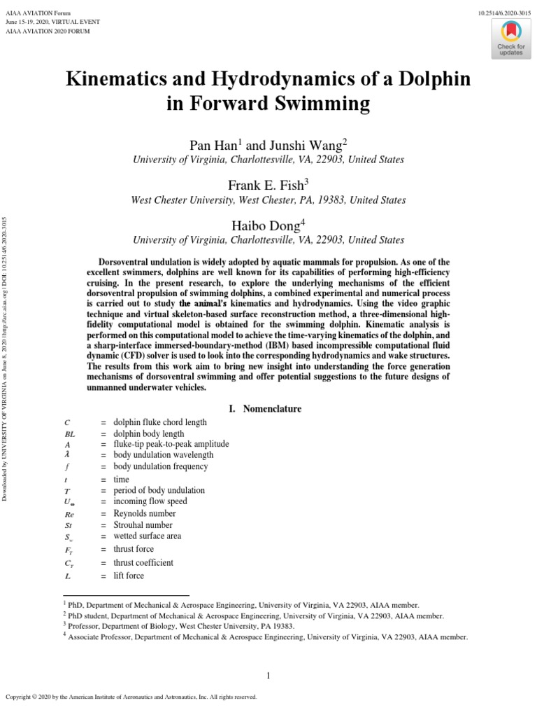 6.2020-3015 Dolphin Wake Structure | PDF | Lift (Force) | Fluid Dynamics