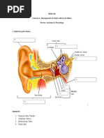 Stenger Test Guide | PDF | Hearing Loss | Ear
