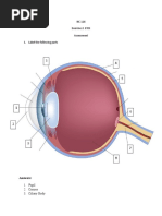 OSCE Eye Examination Checklist | PDF