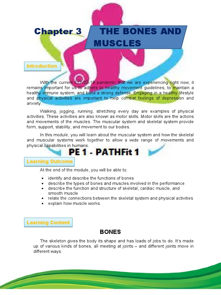 Chapter 3 THE BONES AND MUSCLES A1 and A2 | PDF | Anatomical Terms Of ...