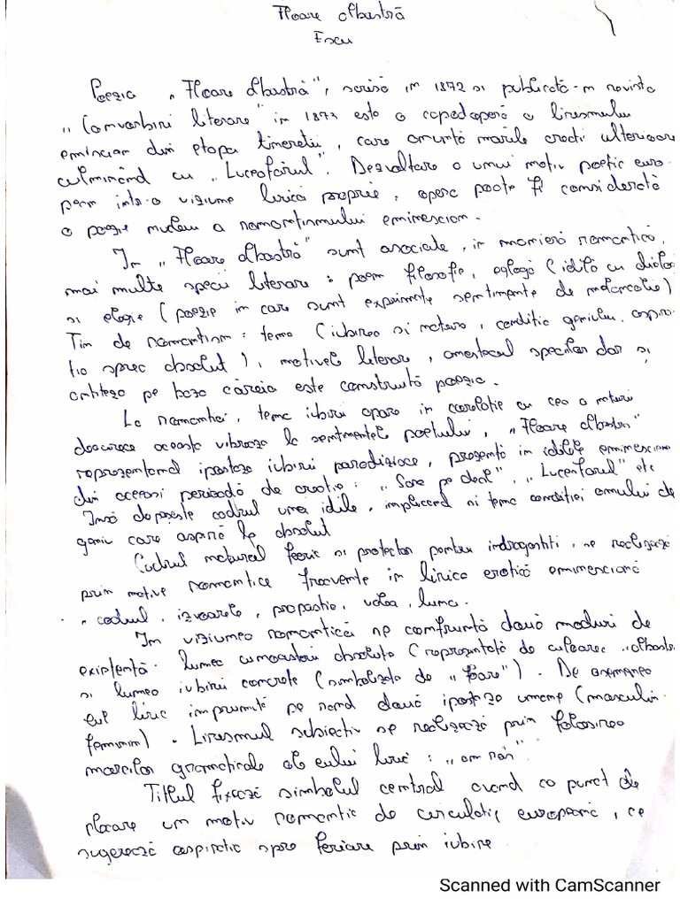 Eseuri Bac PDF | PDF