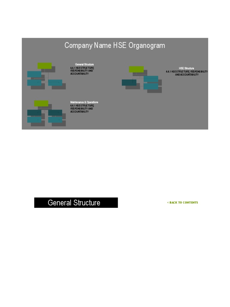 Company Name HSE Organogram: General Structure HSE Structure | PDF