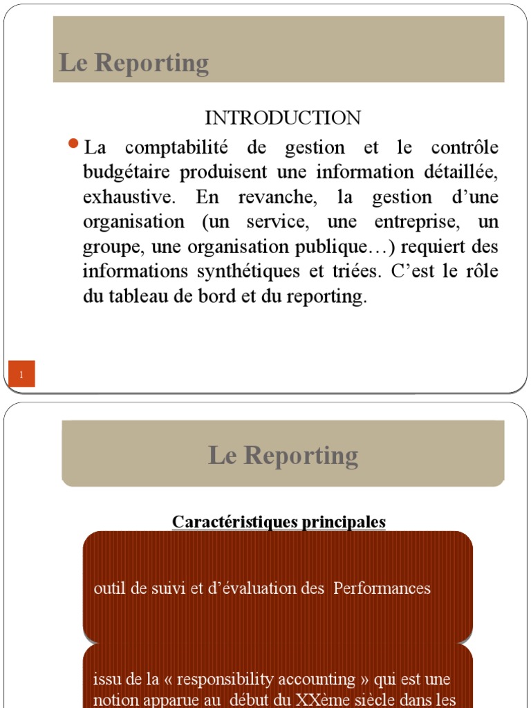 Le Reporting | PDF | Comptabilité | Business