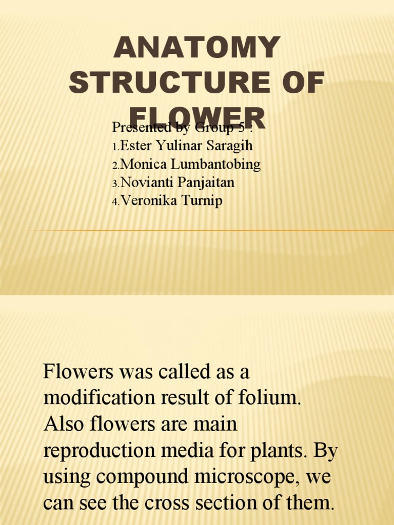 Anatomy Structure of Flower | PDF