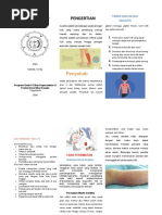 LP Selulitis | PDF