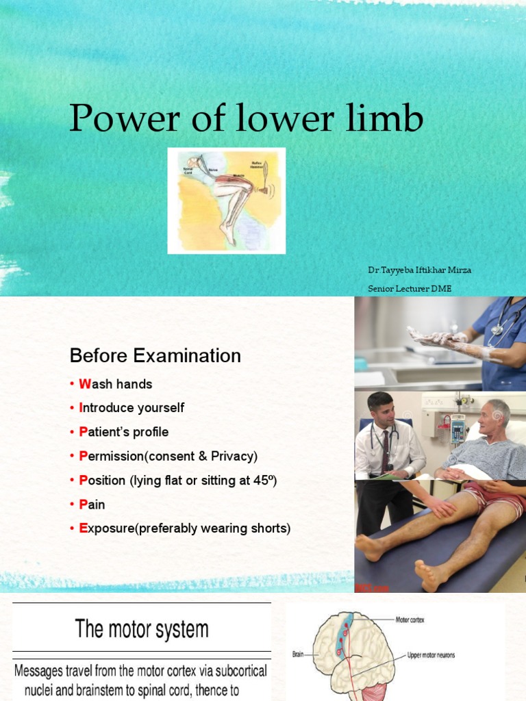 Lower Limb Power Assessment Guide | PDF
