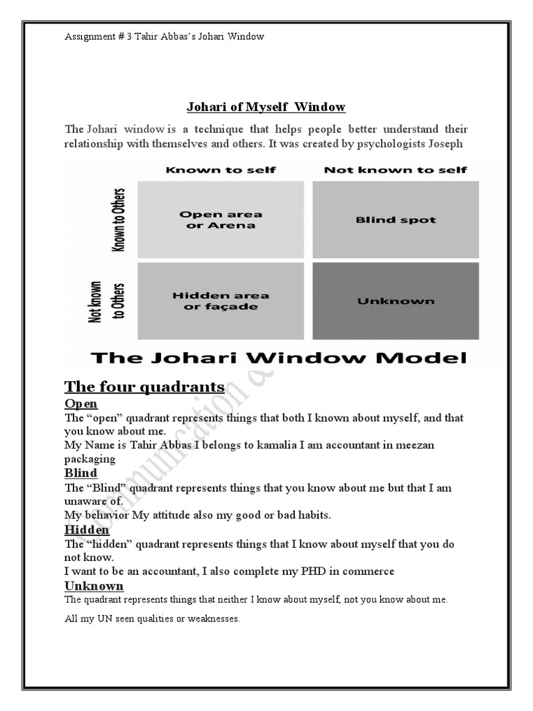 Johari Window Assignment | PDF