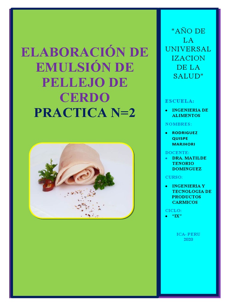 Informe Del Pellejo de Cerdo | PDF | Colágeno | Carne