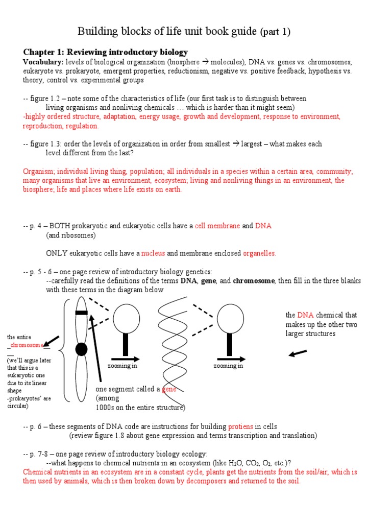 Building Blocks of Life Overview | PDF | Chemical Bond | Chemical Polarity
