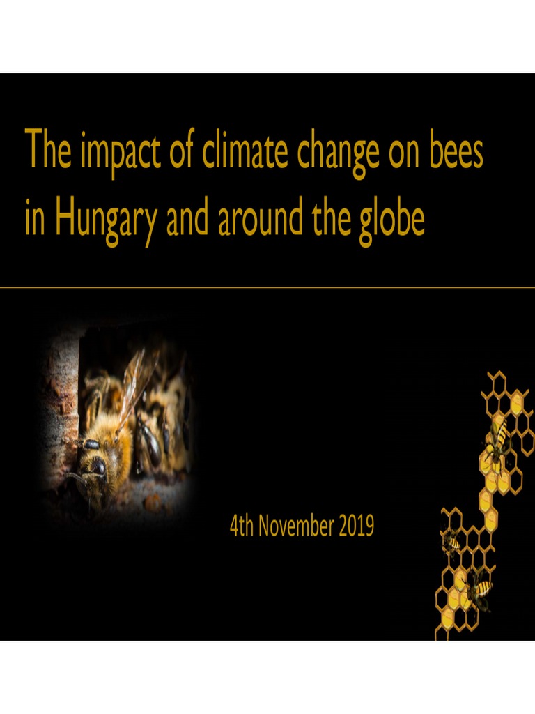 Bees and Climate Change | Download Free PDF | Honey Bee | Bees