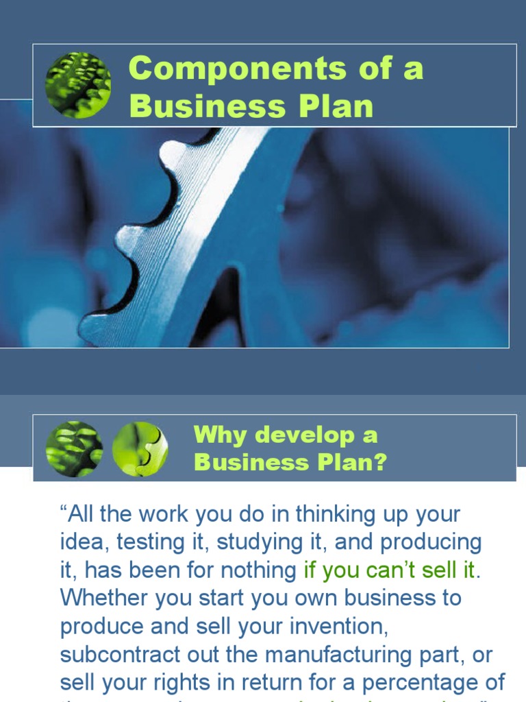 Components of A Business Plan | PDF | Business Model | Invention