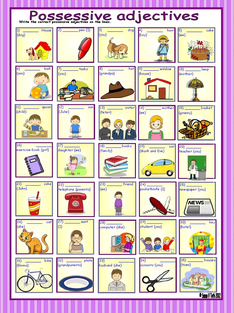 Possessive Adjectives With Key Tests - 30825 | PDF