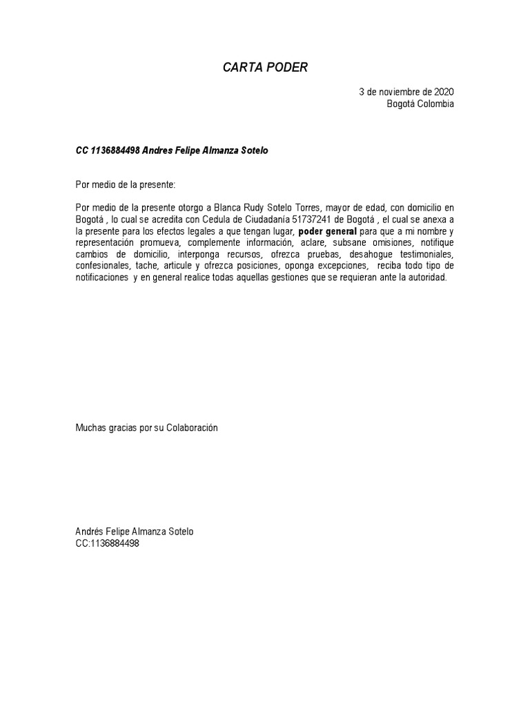 Carta Poder 1 PDF | PDF