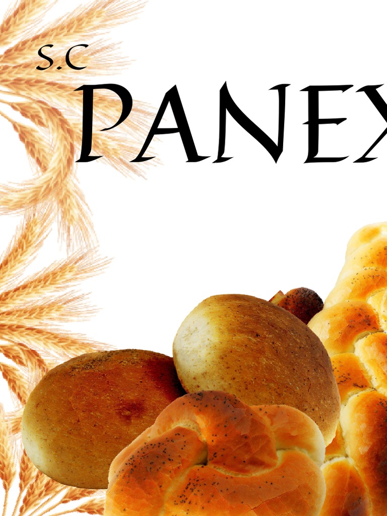 PANEX | PDF