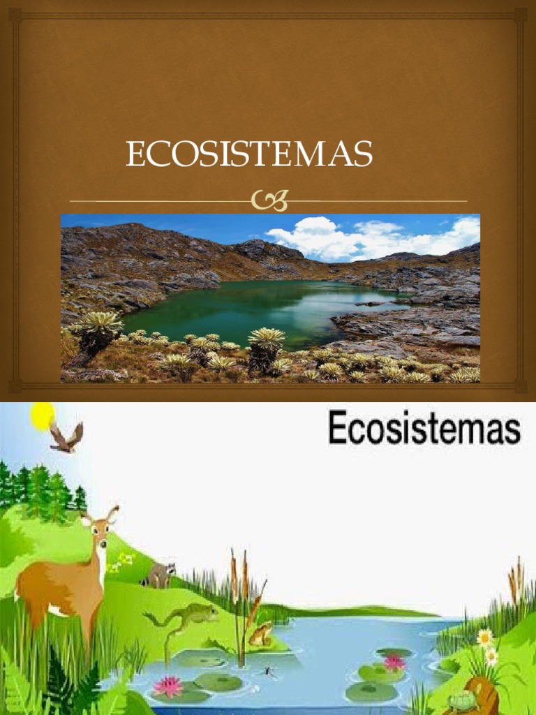 Ecosistemas: Definición y Clasificación | PDF | Ecosistema | Organismos