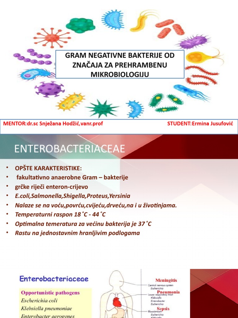 Mikrobiologija | PDF