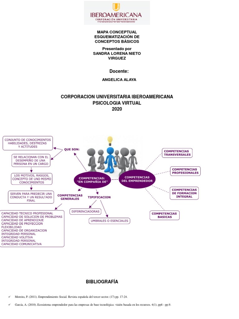 Mapa Conceptual Esquematizacion de Conceptos Basicos | PDF