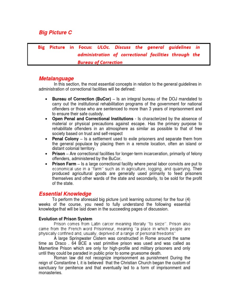 Cri 313 Unit 3 | PDF | Prison | Remand (Detention)