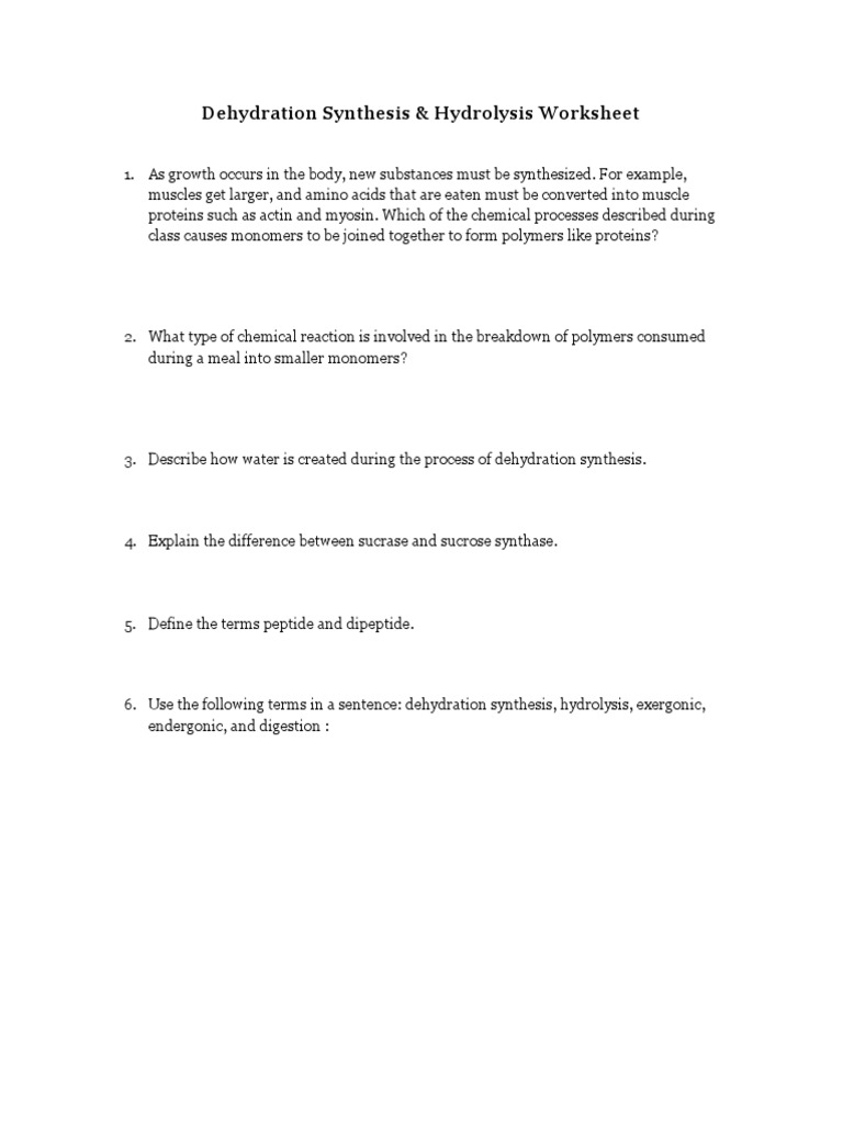 Dehydration Syn Hydrolysis Worksheet | PDF