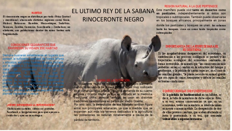 Ficha Tecnica Animal en Peligro de Extincion Geografia | PDF ...