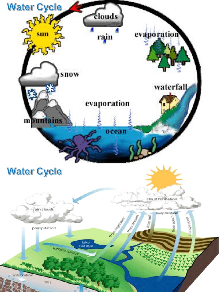 M6L2.Water Cycle, Hydrosphere | PDF | Drainage Basin | Aquifer
